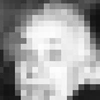 Darek Rossman – Medium