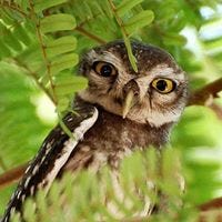 Catherine Paton – Medium