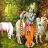 Manam Naga Manikanta – Medium