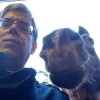 Steve Frazier – Medium