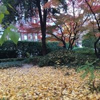 Vincent Tse – Medium