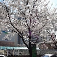Karam Han – Medium