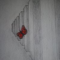 Shane Noble – Medium