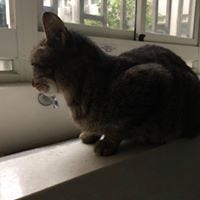 About – Songlin Wu – Medium