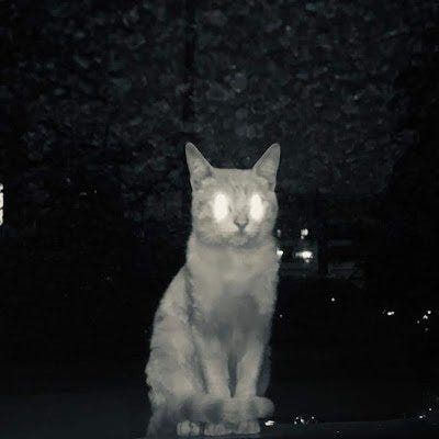 MORTAL – Medium