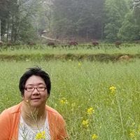 Chui Ping Hui – Medium