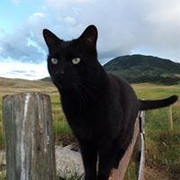 Jonathan Hands – Medium