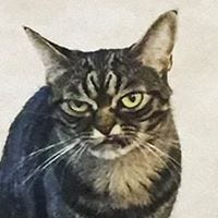 Victoria Weldon – Medium