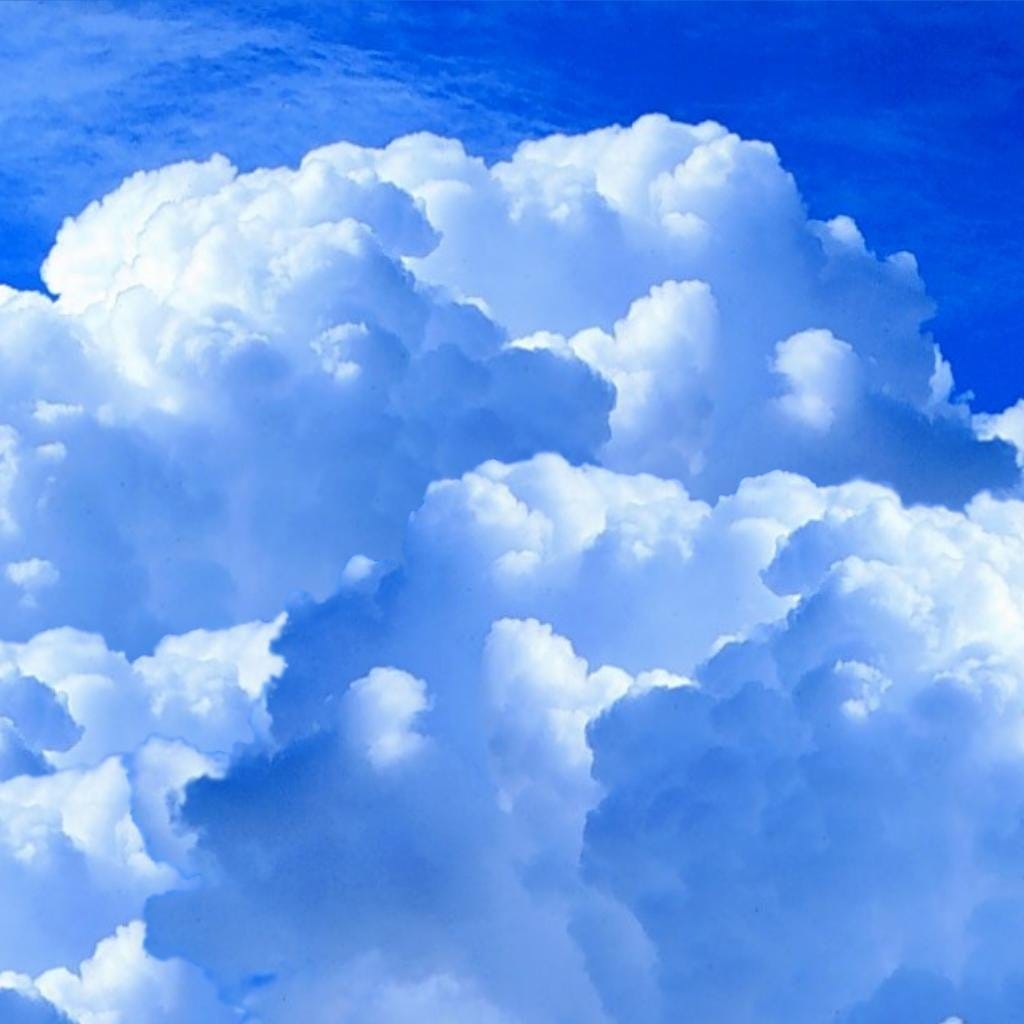 Eleonora Cogo – Medium