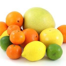 Citrus Fruits – Medium