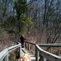 Greg Ferguson – Medium
