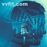 About – vvfit.com – Medium