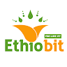 Ethio Bit – Medium
