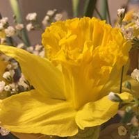 About – Rose Humphrey – Medium