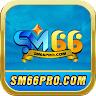 SM66 Pro – Medium