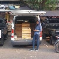 Cinta Medium