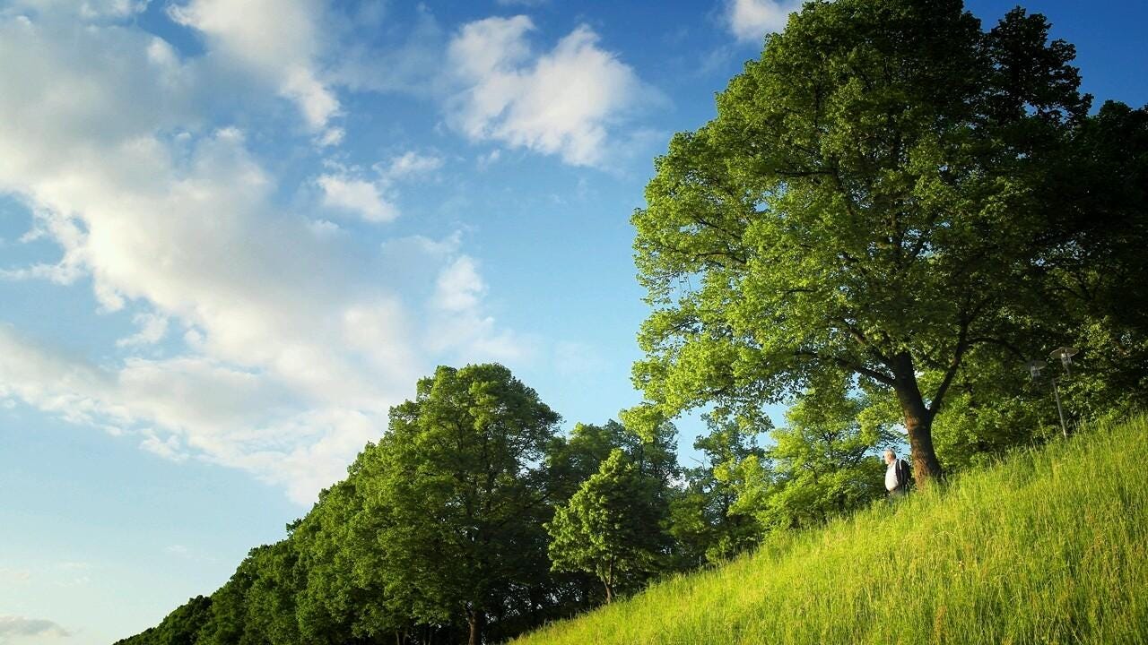 Jamiah Manap – Medium