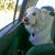 Blake Watkins – Medium