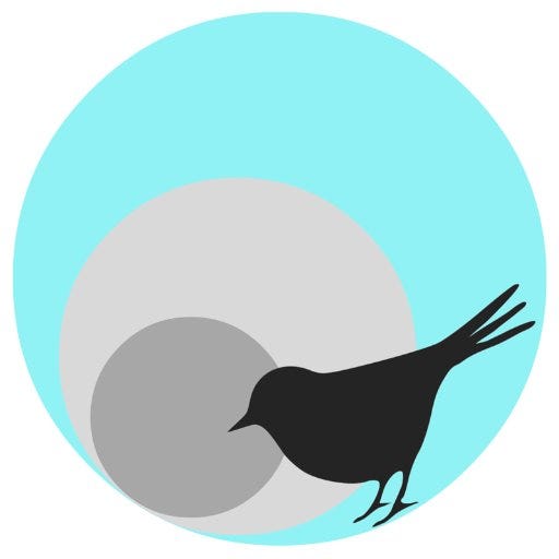 Mind the Bird – Medium