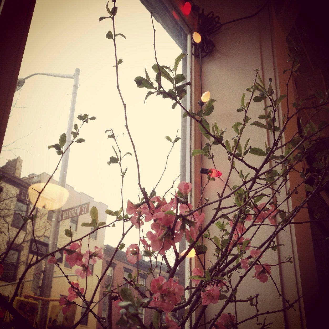 Natalia Castro – Medium