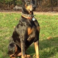 Barb Jeneen – Medium