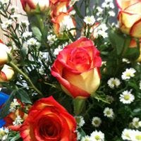 Julio Ares – Medium