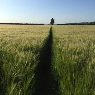 Olly_Cooper – Medium