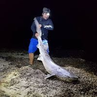 Christian Castellano – Medium