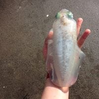 Adam Vuong – Medium