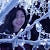 About – Sabrina Zhai – Medium