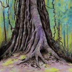 Shuhel Ahmed – Medium