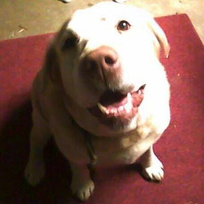 Doug Berg – Medium