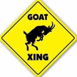About – JOE the GOAT – Medium