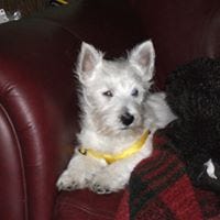 Glenn Meldrum – Medium