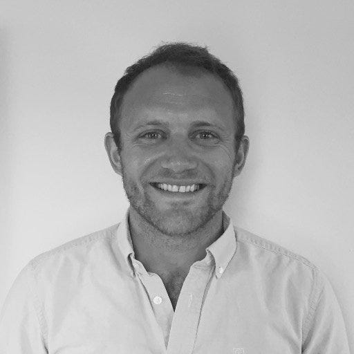 Auggie – Medium
