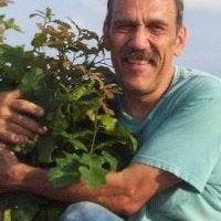 William Boardman – Medium