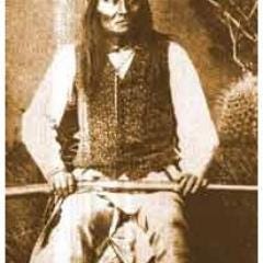 Mangus Colorado – Medium