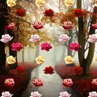 Rubina Sayed – Medium