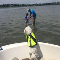 Dave Couch – Medium