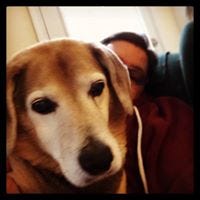 Michael Vandergrift – Medium