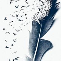 Zoha Saleem – Medium