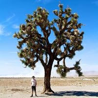 About – Ben Radler – Medium