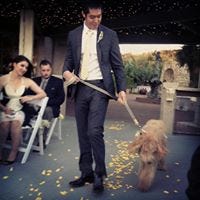 Jon Shyu – Medium