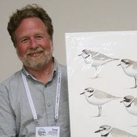 Scott Hecker – Medium