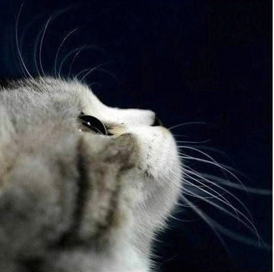 Jun Jiang – Medium