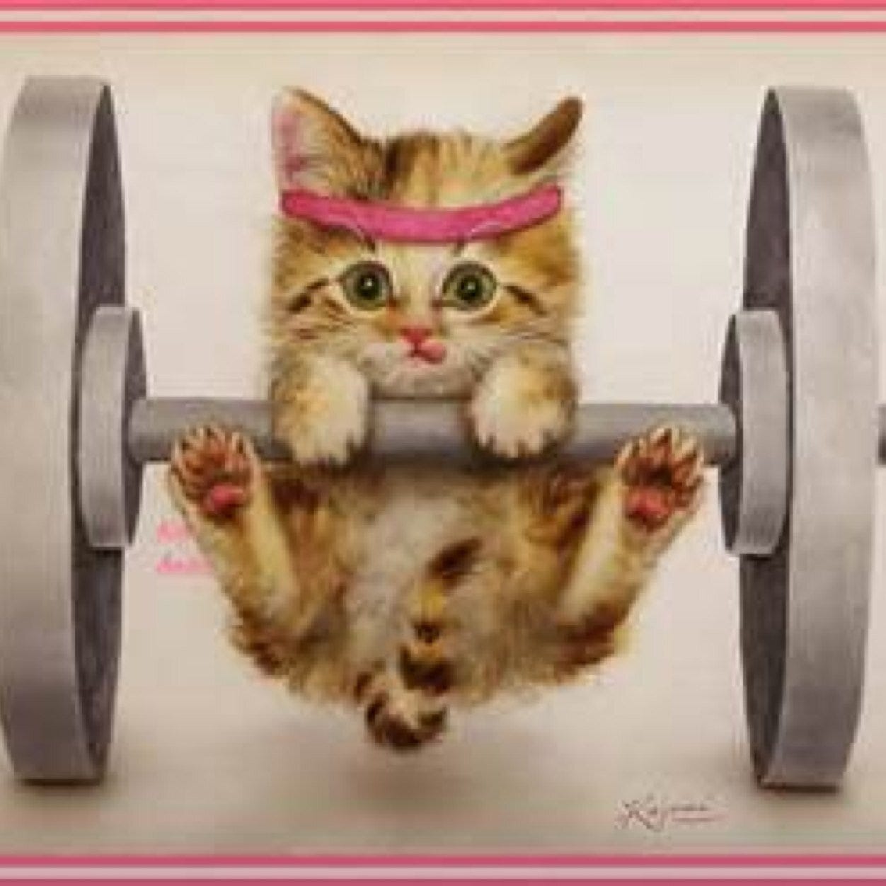 Market St Louis Medium