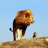 Leo Qu on Medium curated some lists