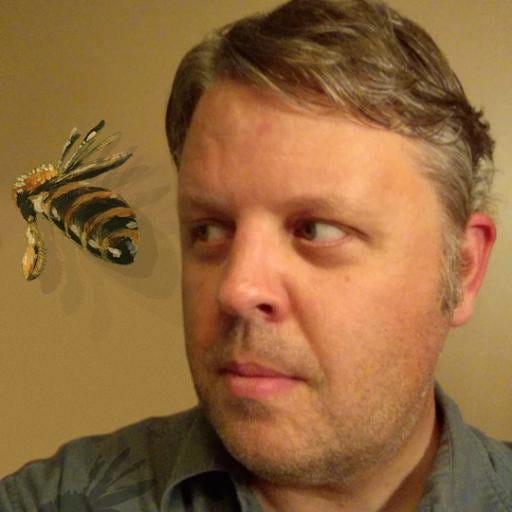 David Otto – Medium