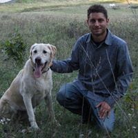 Ted Torgerson – Medium