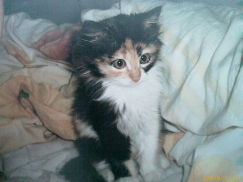 ORHAN FIRAT – Medium